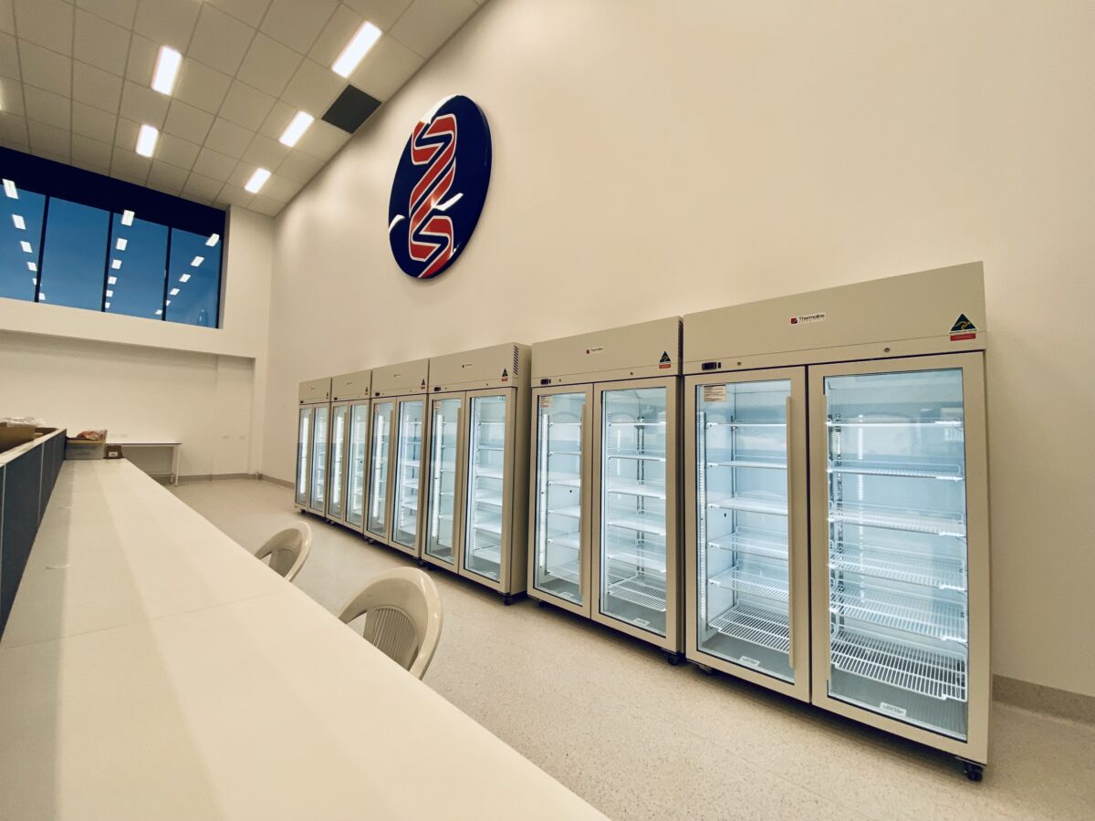 Sonic Pathology Area | EDT Projects